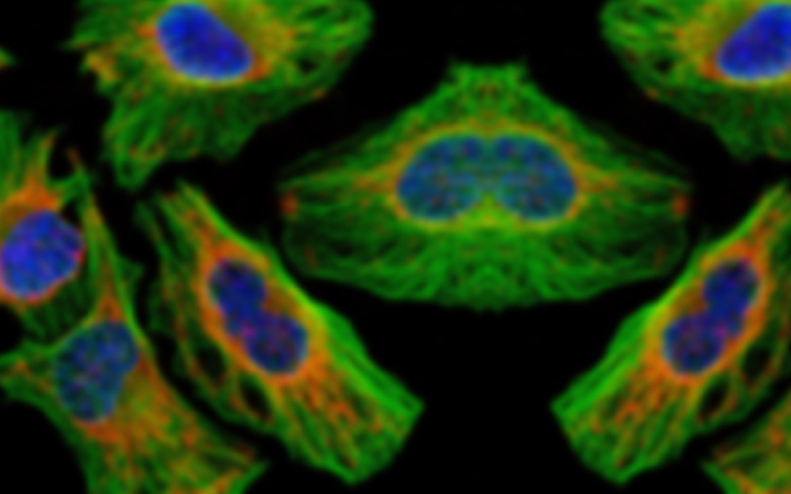 Laboratorio Microscopía Confocal